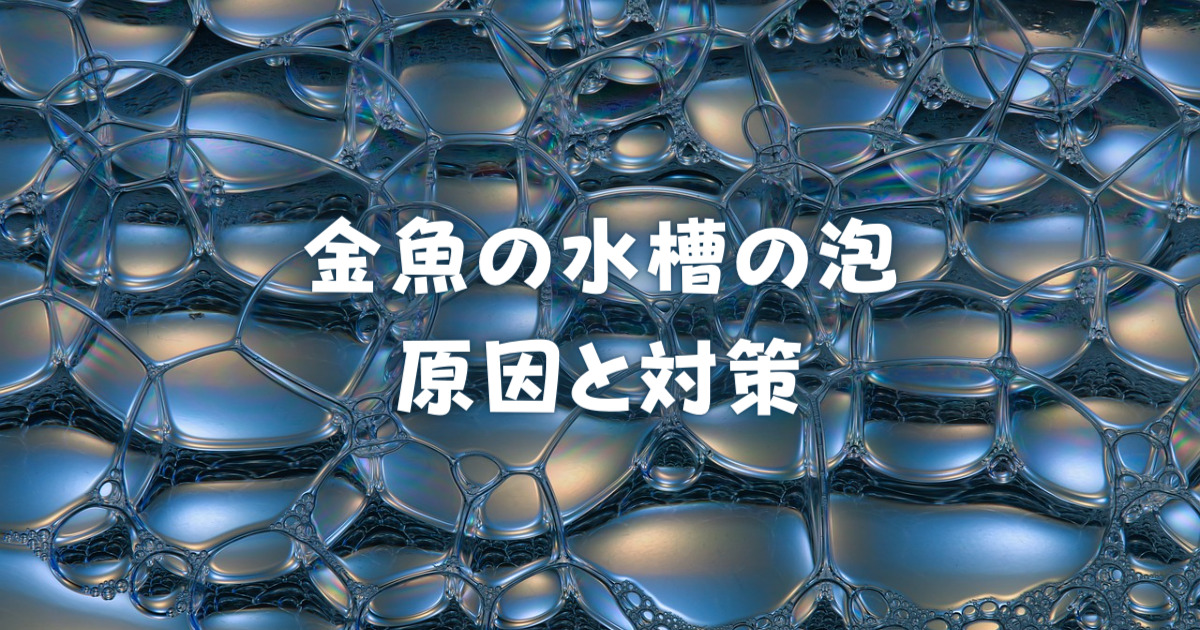 金魚水槽の泡の原因と対策｜泡立つのは良いこと？水質を見直そう！ | 金魚キングダム｜Kingyo Kingdom